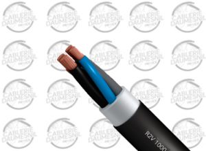 Le câble U- 1000 R2V, essentiels et fonctions - Cablerie Daumesnil